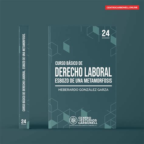 Curso Básico De Derecho Laboral