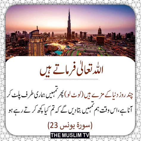 Verified Profiled Posted On Linkedin