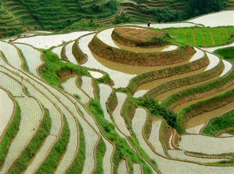 元陽棚田の観光情報 紅河旅行案内 旅情中国