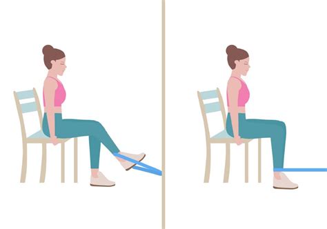 6 Hamstring Curl Techniques From Basic To Advanced Workouts