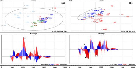 Clustering Schemes With PCA Scores And Corresponding Loadings Plots Download Scientific Diagram