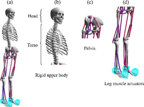 Figure 5 From Inertia Constrained Reinforcement Learning To Enhance