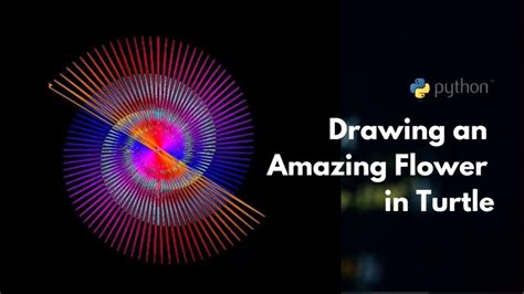 Lets Draw A Beautiful Flower With Python Turtle Jean Marie Beyinda