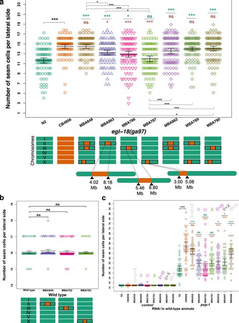 Phenotypic Analysis Of Near Isogenic Lines Identifies Major Qtls A Seam