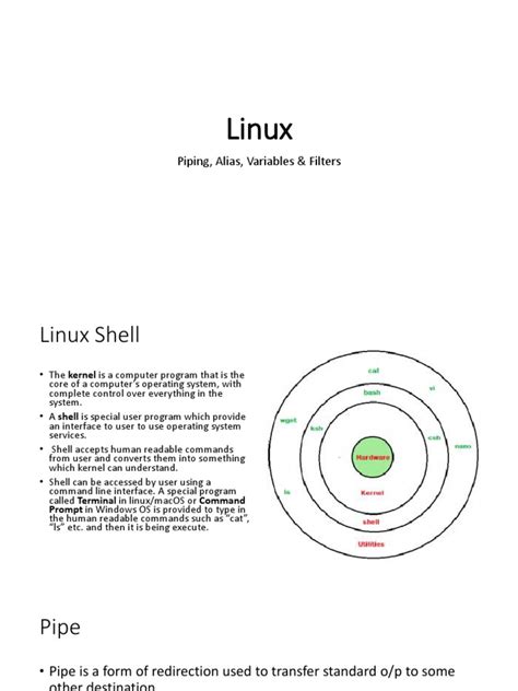 Linux Piping Alias Variables And Filters Pdf Shell Computing Command Line Interface