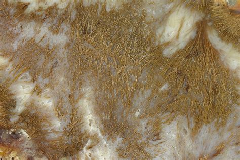 8 5 Nipomo Sagenite Agate Slab Freddie Quarry California 228080 For Sale