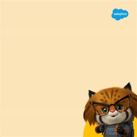 Suma Geethika Brahmakanti On Linkedin Futureforce Salesforce Futureforce 23 Comments