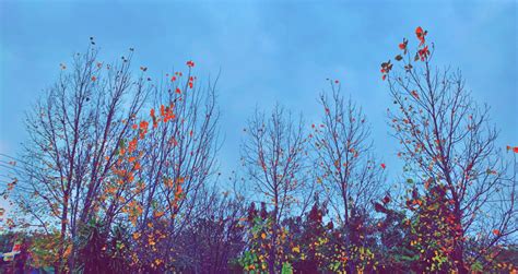 Arooj Khalid Aroojkhalid98 Twitter