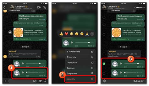 Как удалить голосовое сообщение в Ватсапе
