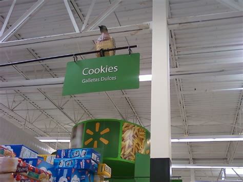 In The Local Walmart A Decoy Protects The Cookie Aisleits Not