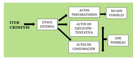 JosÉ Peralta Etapas Del Iter Criminis
