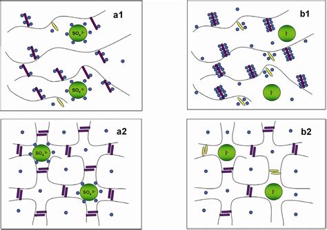 Materials Special Issue Carbohydrate Polymers