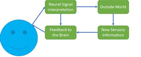 Dummies Guide To Neuralink Can Neuralink Help Create An Api For… By