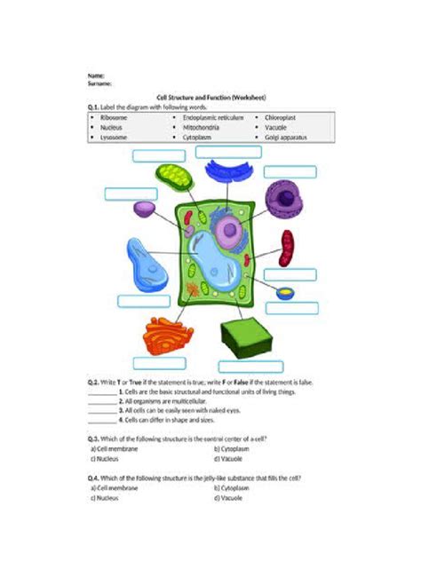 Cell Label Pdf