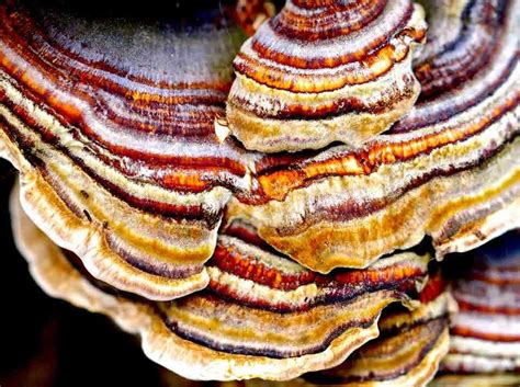 Systemic Design Toolkit By Design Council Issuu