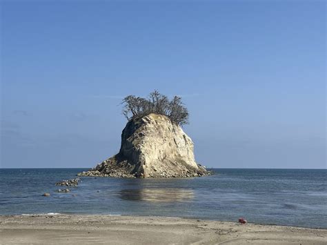 定置網漁の漁師体験！国内最大級「佐々波鰤網（さざなみぶりあみ）」【七尾市】 のとルネ