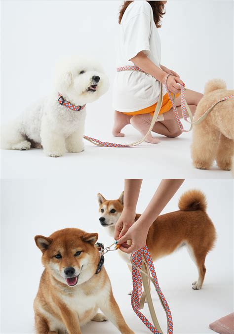 레트로 플라워 리드 퍼피갤러리