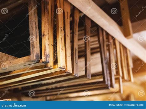 Bee Frames With Sealed Combs And Honey Hang In The Shed Breeding Bees Beekeeping Honey