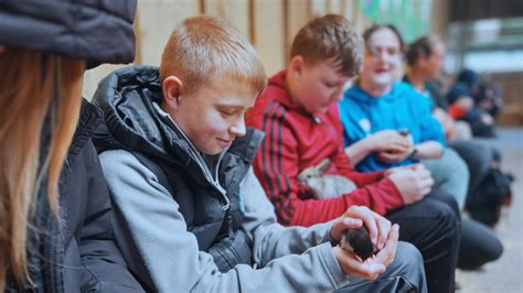 About Acorn Alternative Provision