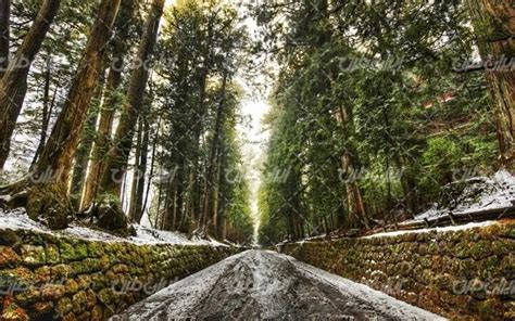 تصویر با کیفیت چشم انداز زیبای جاده همراه با منظره دیدنی و طبیعت زیبا ایران طرح