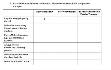 Solved 5 Complete The Table Below To Show The Differences Between Active And Passive Transport