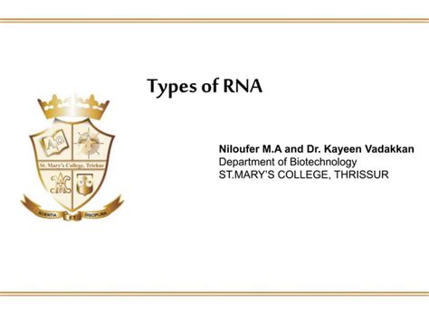 Types Of Rna Pptx