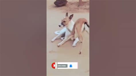 ଉଠେ ରେ Lets Play Youtube Shorts Youtube