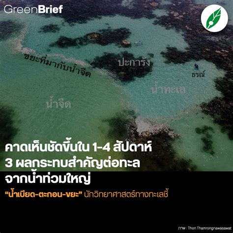 Greennews Greenbrief น้ำเบียด ตะกอน ขยะ” 3 Facebook