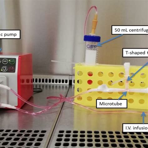 Perfusion Based Bioreactor System Download Scientific Diagram