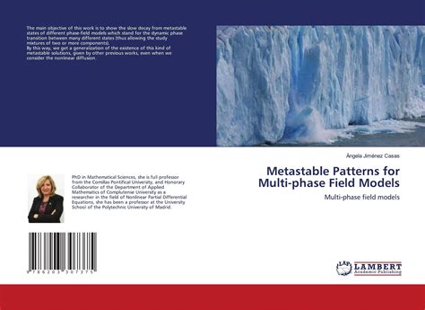 Купить Metastable Patterns for Multi phase Field Models Multi phase field models в онлайн