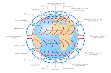 Theory Flashcards Quizlet
