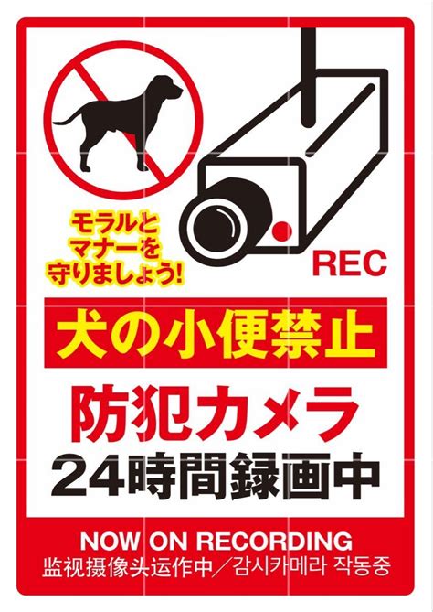 Yahoo