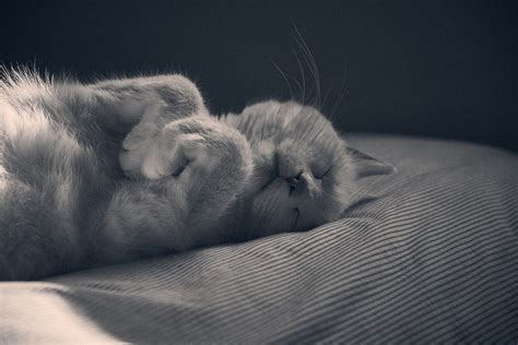 Using Data Science To Amplify Productivity By Btd Medium