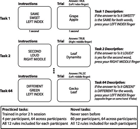 Figure 1 From The Behavioral Relevance Of Task Information In Human Prefrontal Cortex