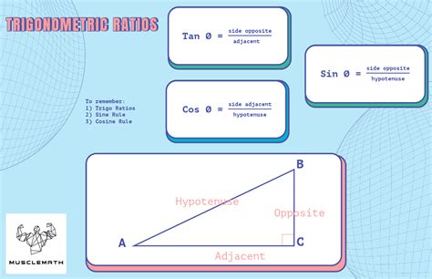 Trigonometry Formula And Ratios • Musclemath Tuition