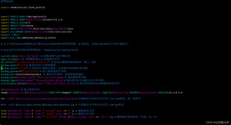 Oracle数据库：使用 Bash脚本 定时任务 自动备份数据oracle数据库定时备份脚本 Csdn博客