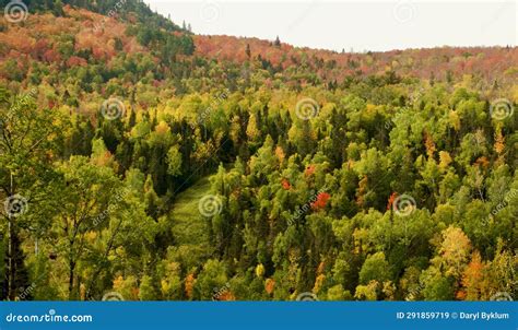 Trees Change Color During The Fall Season Stock Image Image Of September Leaf