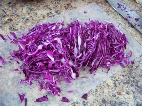 Red Cabbage Rødkål Sid s Sea Palm Cooking
