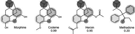 Morphine Functional Groups