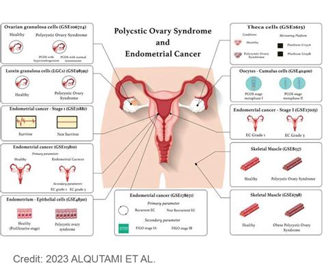 Estrogen Receptor Mutation Prospects In Endometrial Cancer Treatment