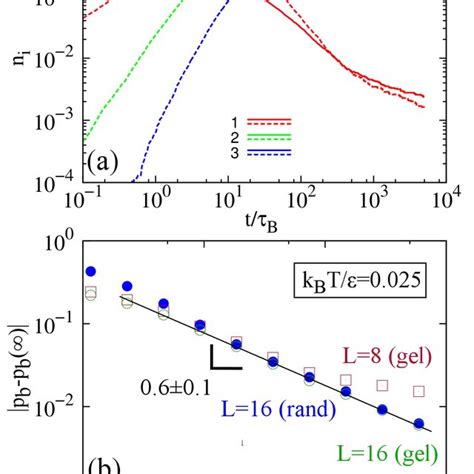 A Time Evolution Of The Fraction Of Particles With One Red Two