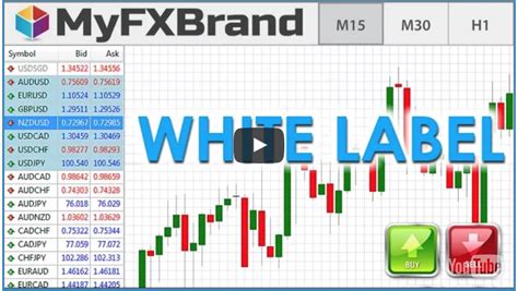 3 Reasons You Shouldnt Start A White Label Forex Business