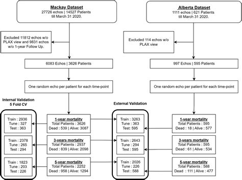 Echocardiogram View Classification By Deep Learning Model Download