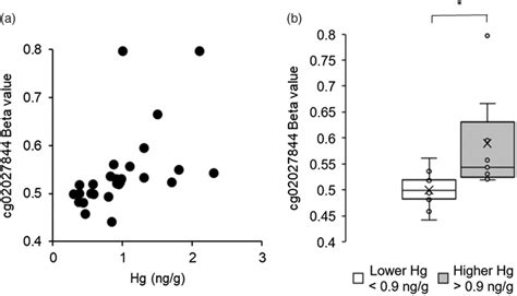 Association Between Mercury In Cord Serum And Sex Specific Dna Methylation In Cord Tissues