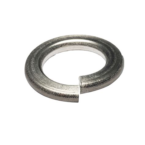 Spring Washer 316 Ssteel Ecko Fastening Systems
