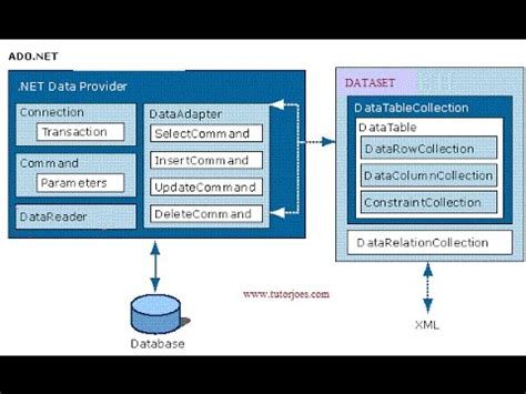 SqlDataAdapter Using SQL Database In C Windows Application YouTube