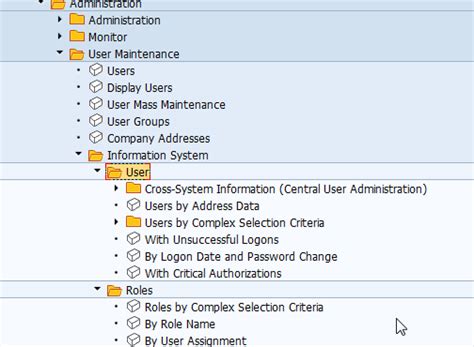 report for sap authorization matrix sap community