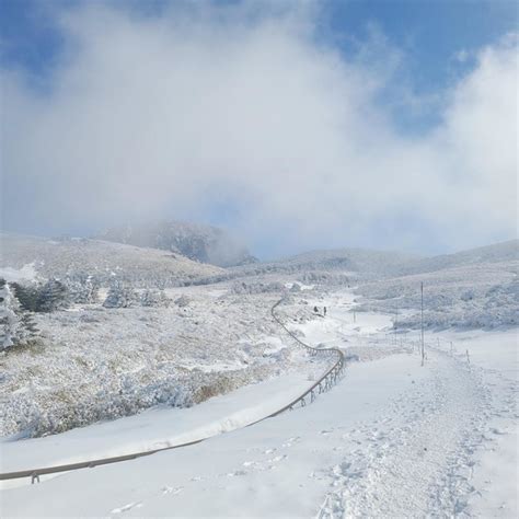 2023 하계 제주도 대종주 진행 종료 20세상 청년국토대장정