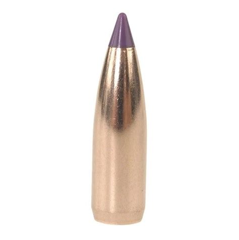 Nosler Bullets 6mm 243 Diameter 70 Gr Ballistic Tip Varmint Spitzer Boat Tail Box Of 100