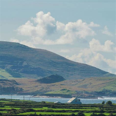 The Black Bull Itison